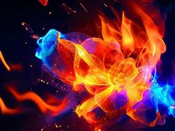 Why Does Fire Burn in Different Colors?