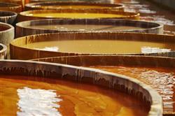 Negative Effects of Using Clarified Slurry Oil | Risks and ...